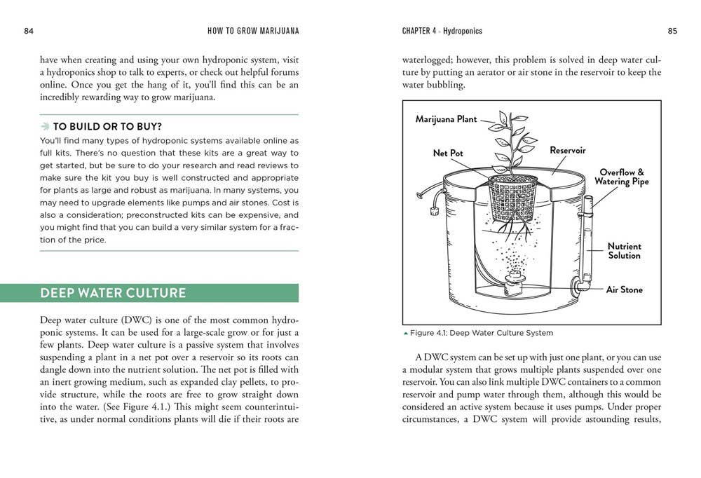 How to Grow Marijuana: The Easiest Guide to Growing Weed – Get ...